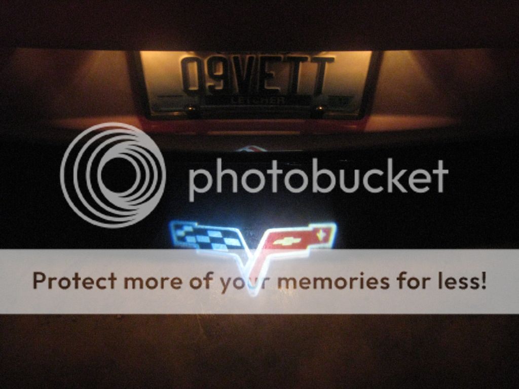 New Corvette Tramp Stamp??? - Page 4 - CorvetteForum - Chevrolet ...